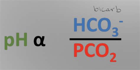 Acids And Bases Flashcards Quizlet