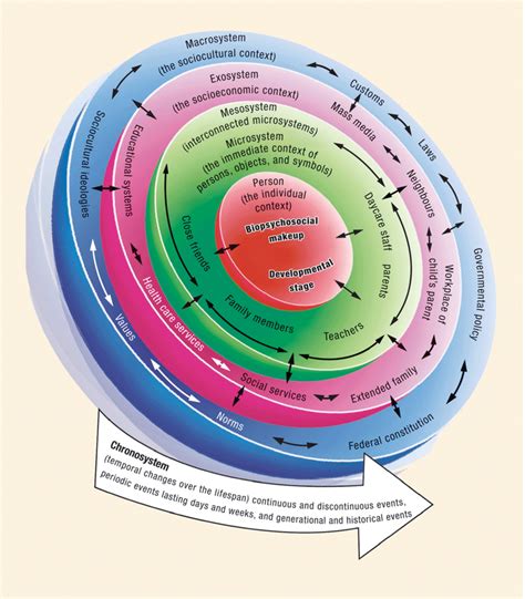 Diagram Of Bronfenbrenners Bioecological Systems Theory Quizlet