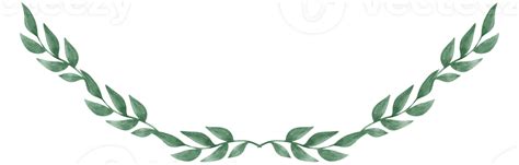 Watercolour Green Leaf Foliage Wreath Frame Hand Drawn Illustration