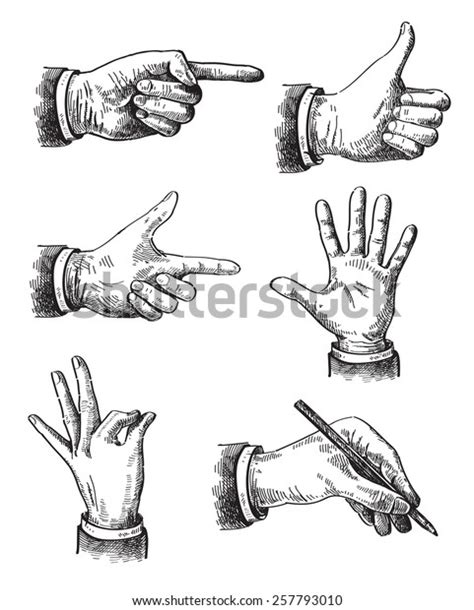 Frawn Over 17 Royalty Free Licensable Stock Vectors And Vector Art