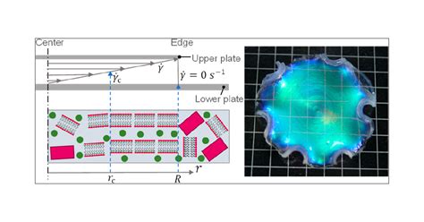 Flower Like Photonic Hydrogel With Superstructure Induced Via Modulated Shear Field Acs Macro
