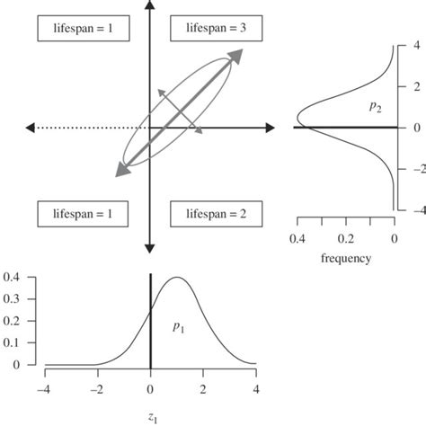 Selection On Liability Is Negative Frequency Dependent Selection Is Download Scientific