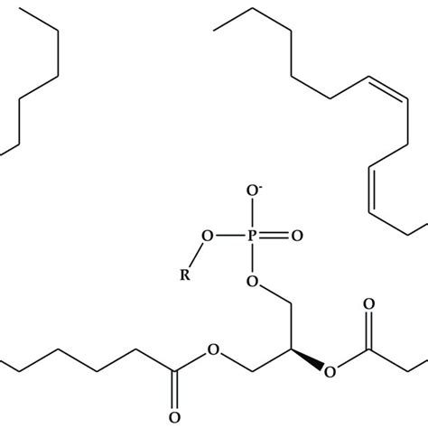General Structure Of Phospholipids Download Scientific Diagram
