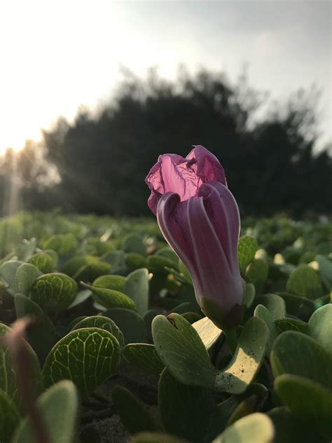 Avasantha Kumar 摄影