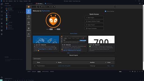 Learning Embedded Programming As A Software Engineer