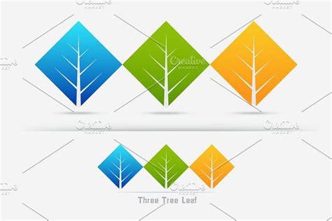 Three Tree Leaf Concept