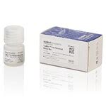 Taqman™ Fast Advanced Master Mix