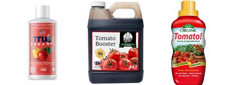 Liquid Fertilizer For Tomatoes A Quick Guide