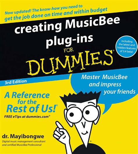 Musicbee Plugins