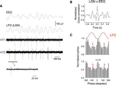 Figure 1 From Temporal Framing Of Thalamic Relay Mode Firing By Phasic