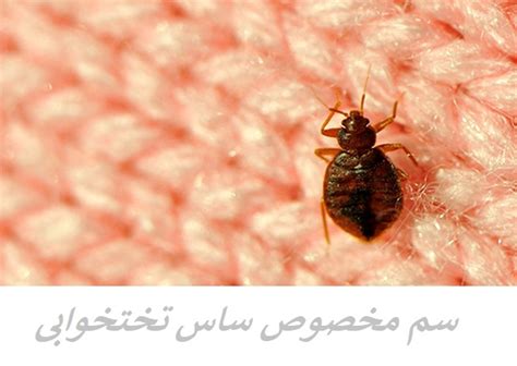 سم ساس کش تختخوابی بدون بو فروشگاه خرید سم بیا تو کالا