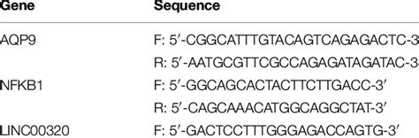 Primer Sequences For Reverse Transcription Quantitative Polymerase