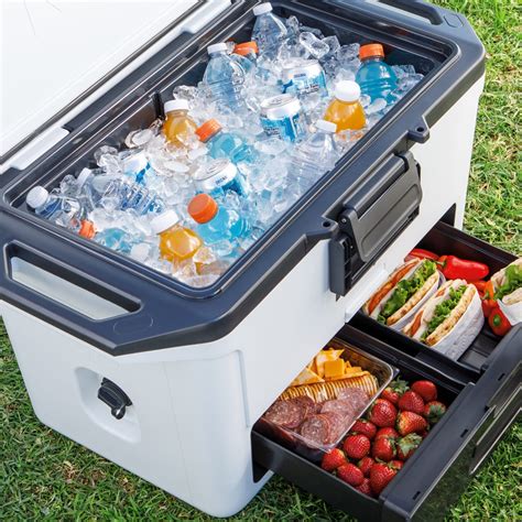 Ninja Frostvault™ Hard Coolers Portable Ice Chests Ninja®