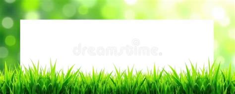 Rectangular Border Showcasing Vibrant Green Grass Against Pure White Mockup Ecology Vibrant