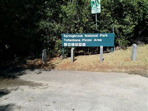 Tallanbana Picnic Area Springbrook Aktuelle 2021 Lohnt Es Sich