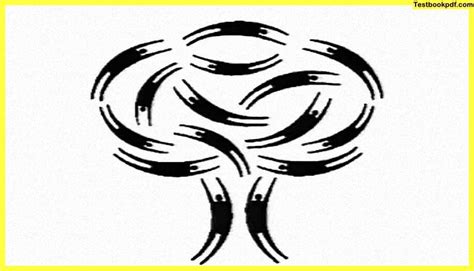 Approaches To Visual Perception Gestalt Theory Pdf Part 3