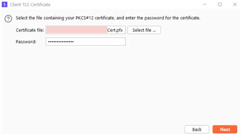 Bypassing Mutual Tls Mtls To Intercept The Traffic By Ayushi Medium