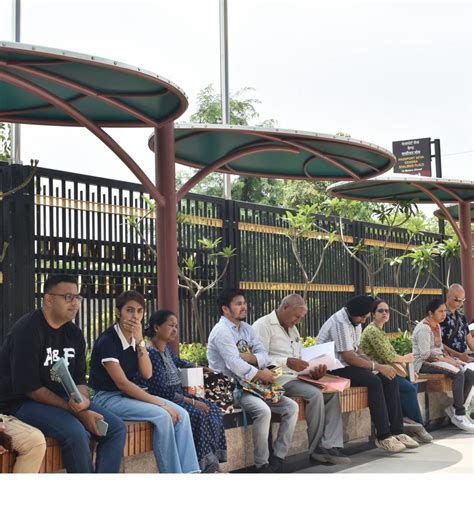 Leaf Tensile Sitting Structure At ₹ 320sq Ft Tensile Structure