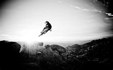 ©stephanie Wolf Stephanie Wolf Flickr