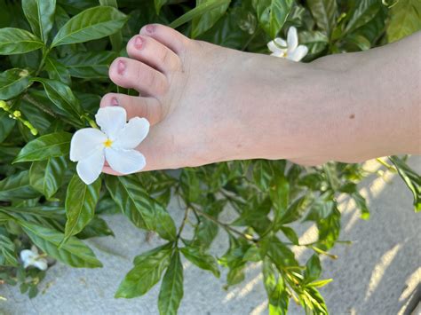 Found A Pretty Flower R Bbwfeet