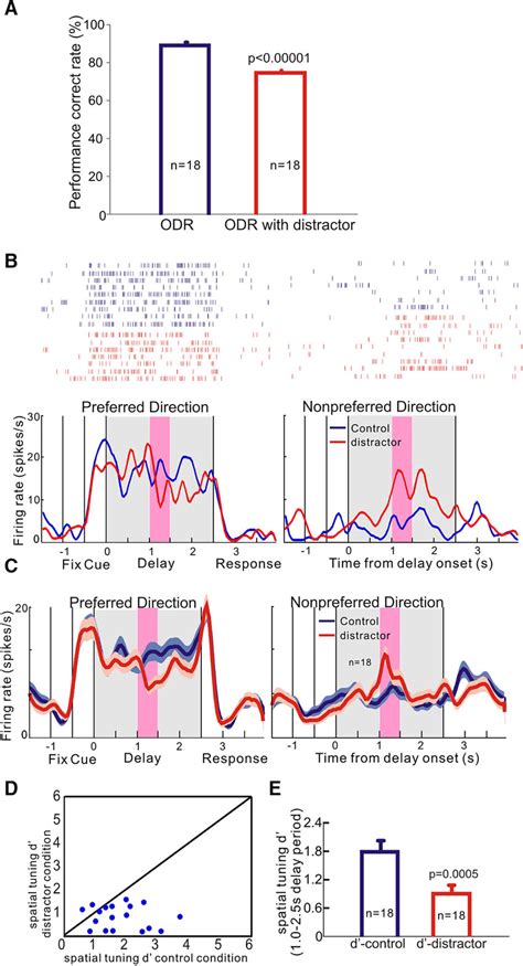 effects of presenting distractors during the delay epoch on working