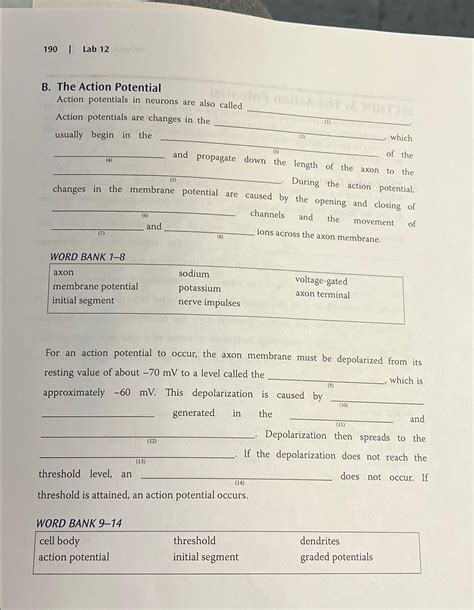 190lab 12b ﻿the Action Potentialaction Potentials In