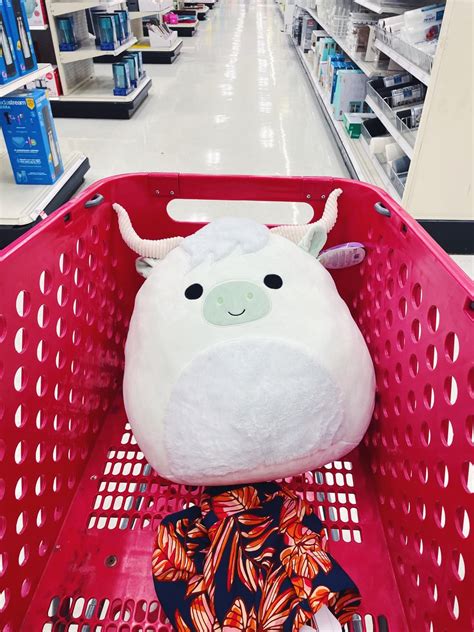 I Think Ill Take You Home 😍 The Stuffing In This Big Fella Is Really Nice Rsquishmallow