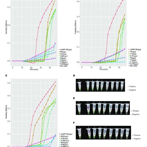 A Electrostatic Surface Potential Representations Generated In Apbs