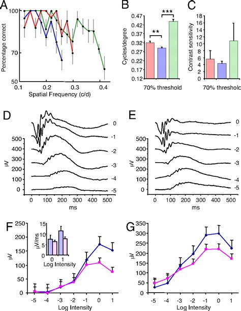 Complement Factor H Deficiency Treatment At James Velarde Blog
