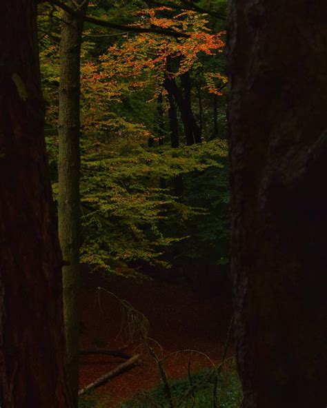 Owen Mitchell On Tumblr