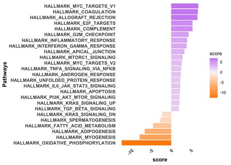 Deep Visual Proteomics Pathway Enrichment Analysis