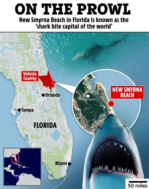 Surfer Mauled In Shark Bite Capital Of The World After Beast Clamped