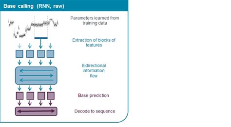 Data Analysis Oxford Nanopore Technologies