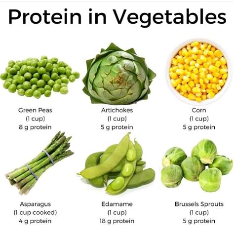 Pin De Ginny Brooks En Proteins Comida Saludable Comida Cuerpo Humano