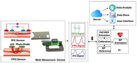 Advances In Wearable Biosensors For Healthcare Current Trends Applications And Future