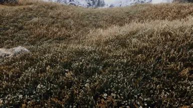 Qws Grass Patch Veydosebrom Regions Folkvangr Cathedral Depths