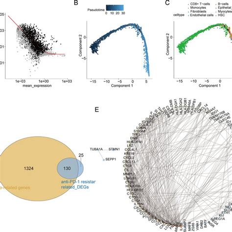 Construction Of Cell Clusters Developmental Trajectories And