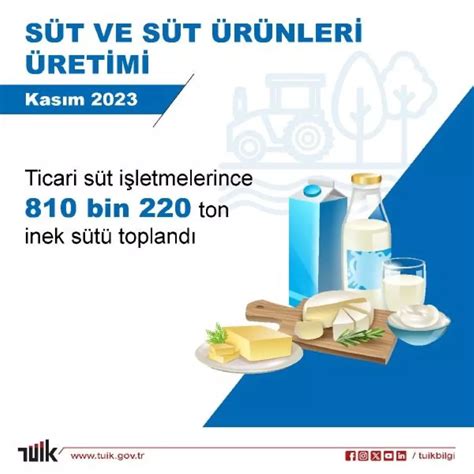 Kasım Ayında Tavuk Yumurtası Üretimi Arttı İnek Sütü Miktarı Artış Gösterdi Son Dakika