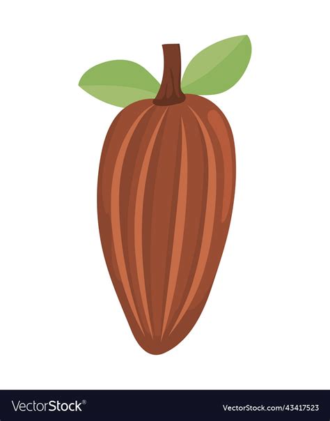 Cacao Nature Icon Royalty Free Vector Image Vectorstock