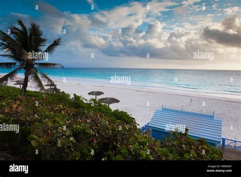 Bahamas Eleuthera Island Harbour Island Pink Sands Beach Morning