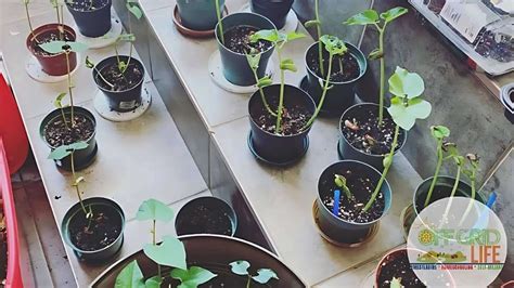 40 Ways To Have A More Sustainable Home This Winter An Off Grid Life