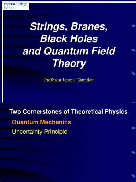 An Overview Of String Theory Quantum Gravity And The Relationships Between Strings Branes