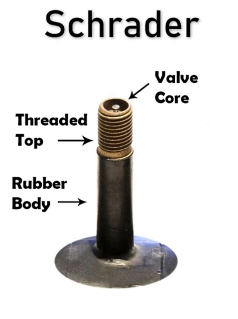 Schrader Valve At Jennifer Vidal Blog