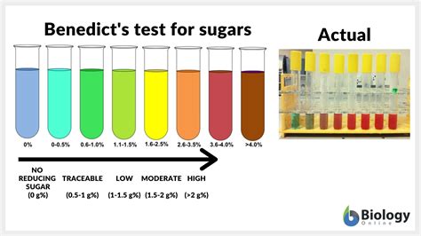 Sucrose Non Reducing Sugar