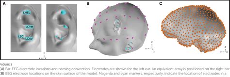 Figure 1 From Ear Eeg Sensitivity Modeling For Neural Sources And