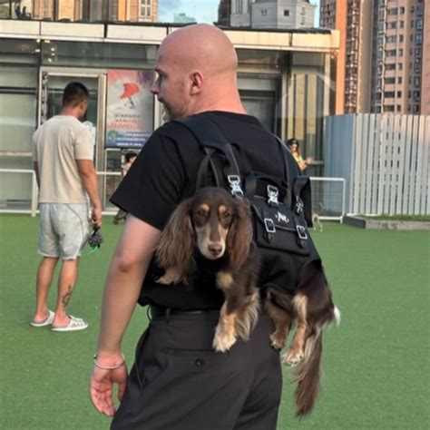 Dachcarry Dachshund Side Carry Backpack Lightweight Portable And Sec