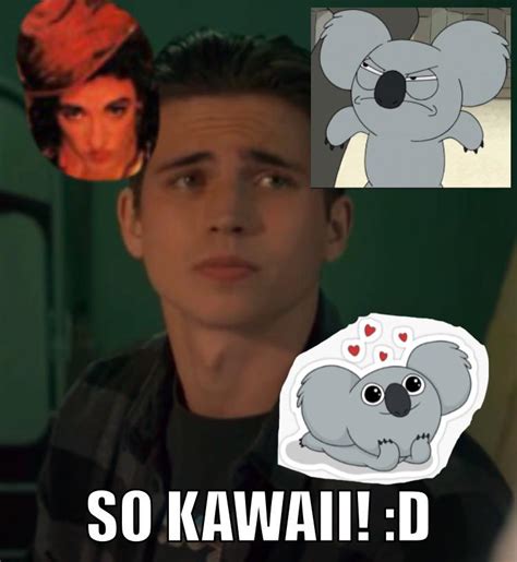 Cute Robby Is Cute Robby Period Rcobrakai