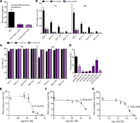 Figure 1 From Single Stranded Oligonucleotide Mediated Inhibition Of Respiratory Syncytial Virus