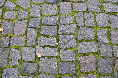 Grass Pavement Texture