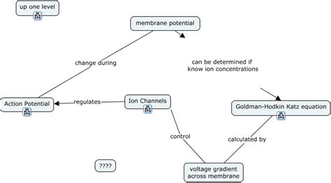 Membrane Potential